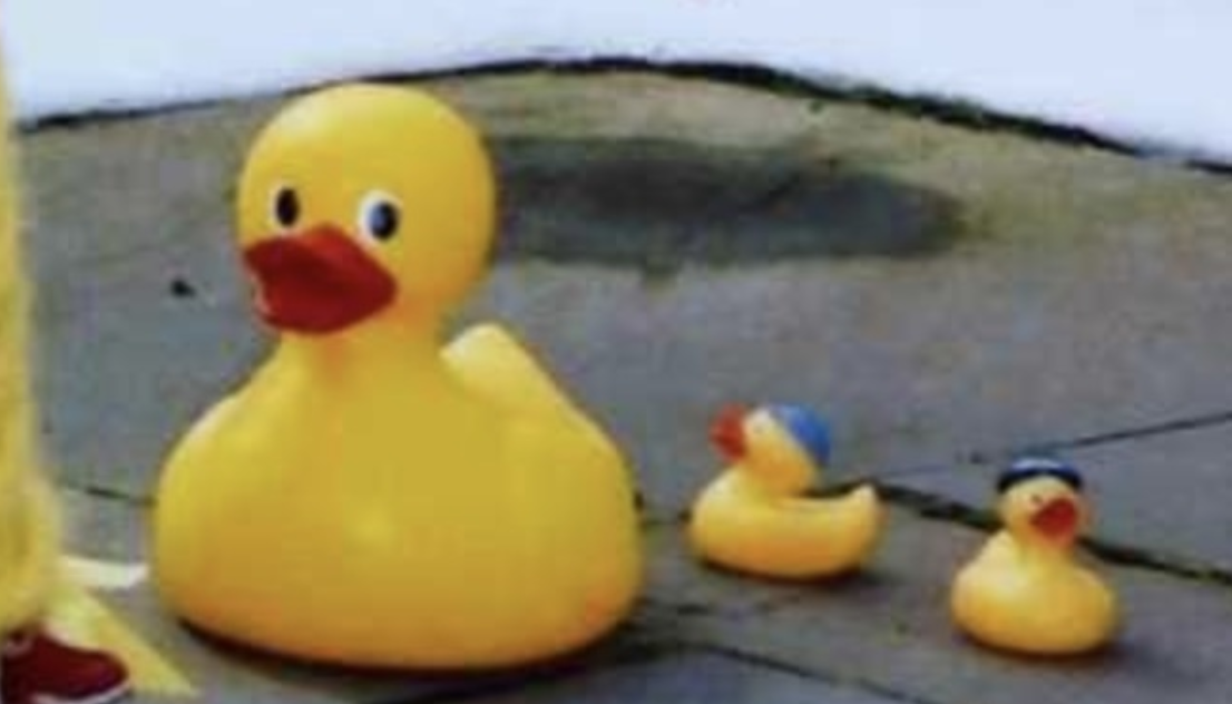 The Duck Stops Here